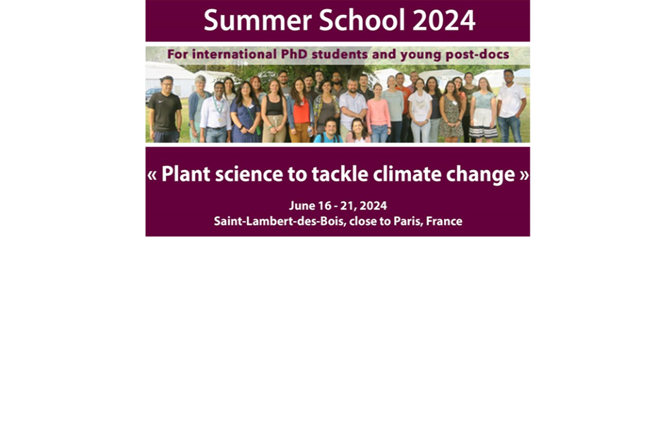 IPS2 - Ametys, Web Java Open Source CMS